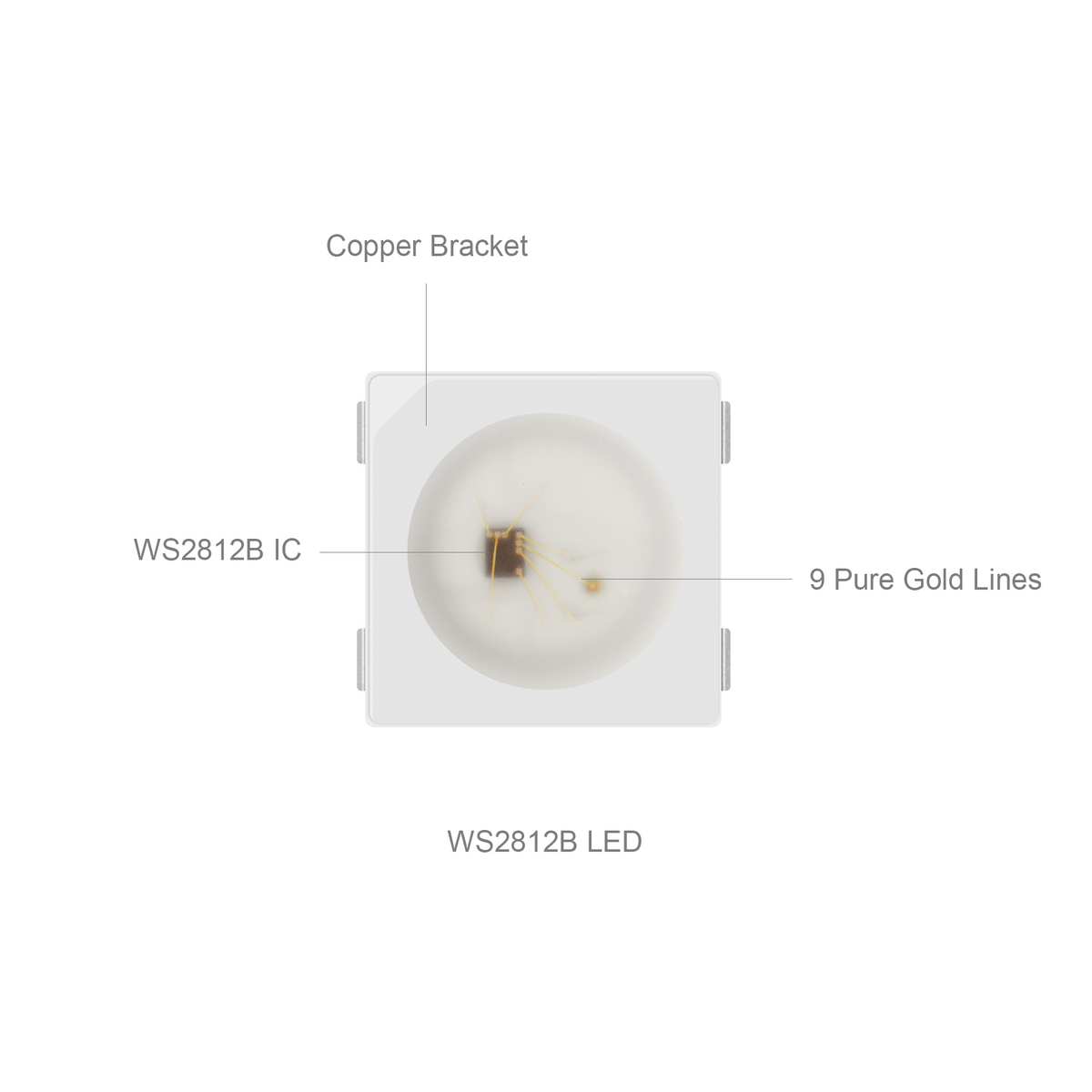 WS2812B LED Chips – BTF-LIGHTING