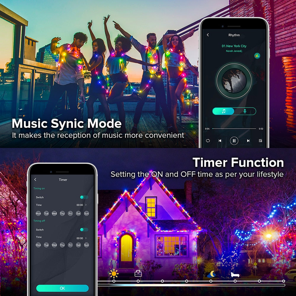 Dreamcolor Christmas Lights String BT Music WS2812B RGBIC Addressable ...